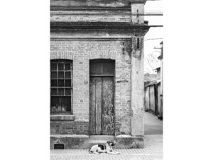 Revelados vencedores do Prêmio J. Silvestre de Fotografia - Jornal Taperá